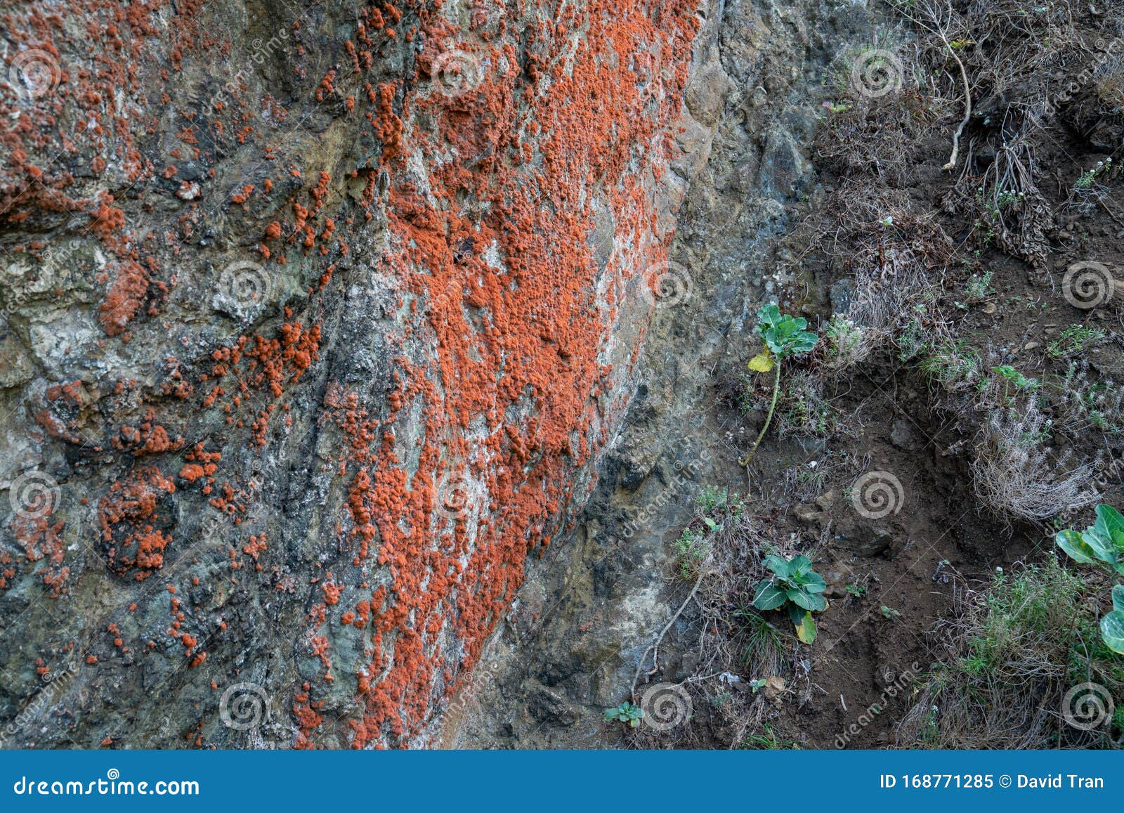 Rust Stains on the Side of a Mountain Rock Cliff Stock Image - Image of ...
