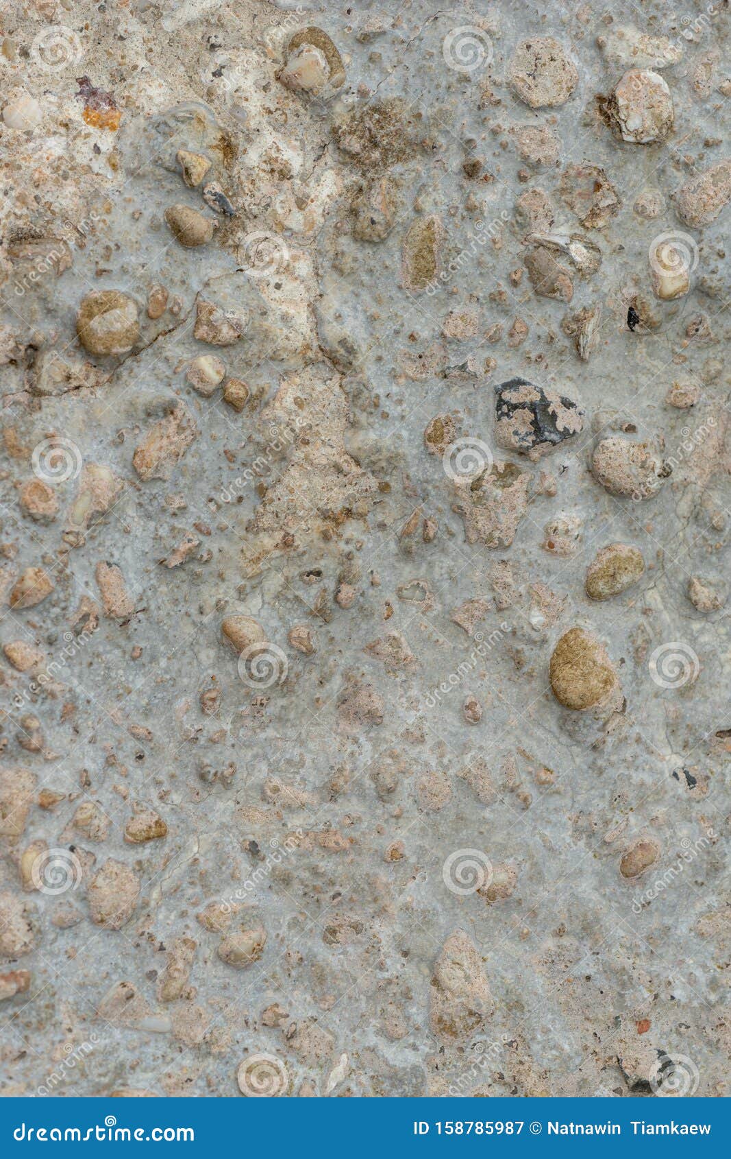 Rust Stone Texture With Fosil, Rock Texture And Background Royalty-Free ...