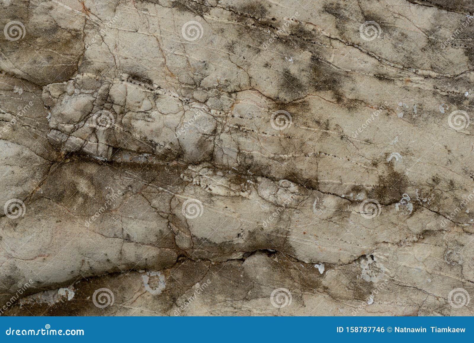 Rust Stone Texture With Fosil, Rock Texture And Background Royalty-Free ...