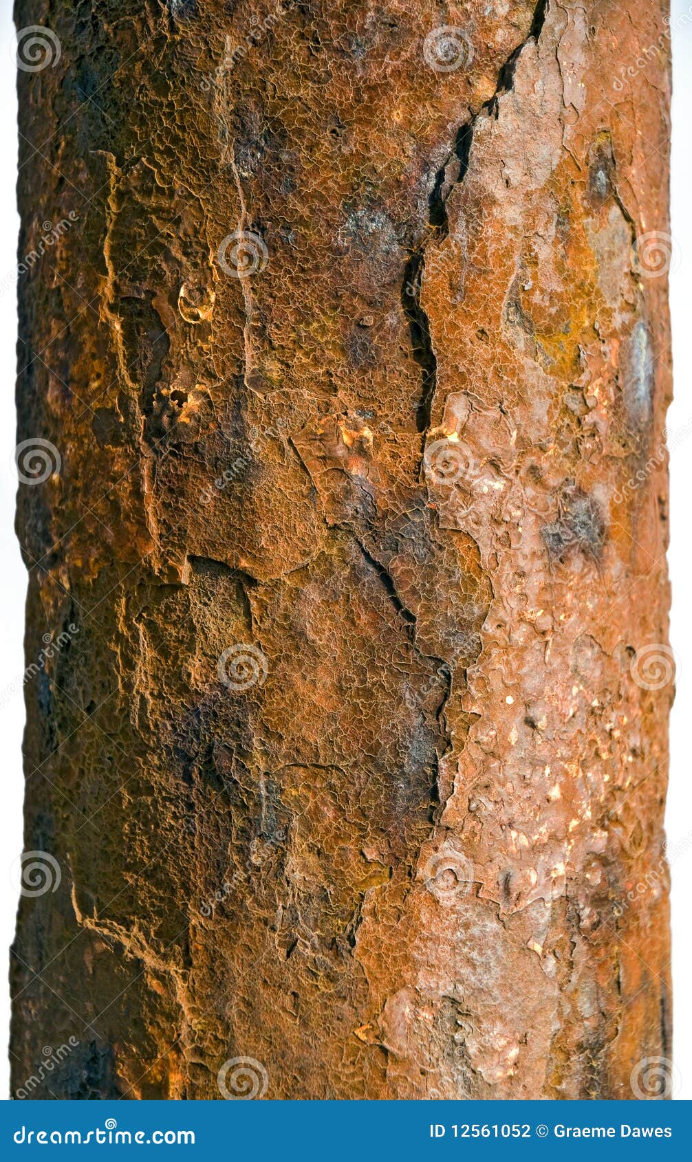 Rust Texture Royalty-Free Stock Image | CartoonDealer.com #12561052