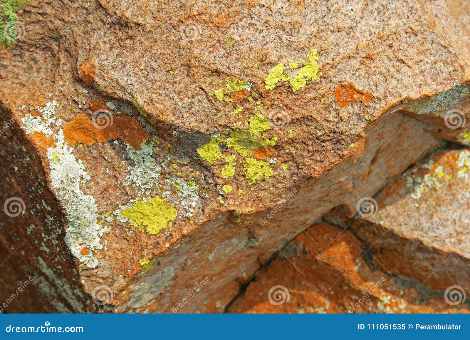 RUST, WHITE and YELLOW COLOURED LICHEN on ROCKS Stock Image - Image of ...