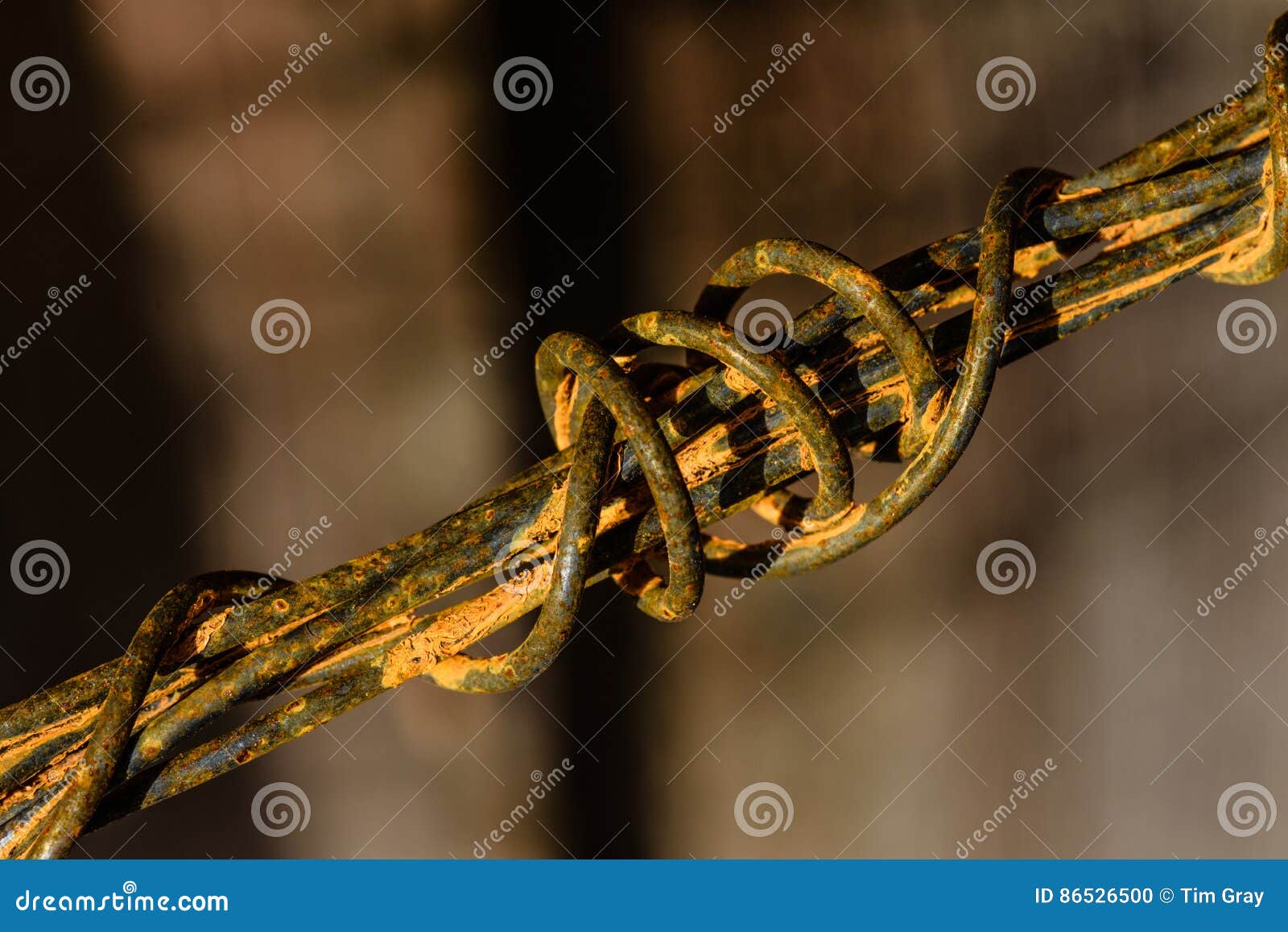 Rust on wire stock photo. Image of work, rain, fencing - 86526500
