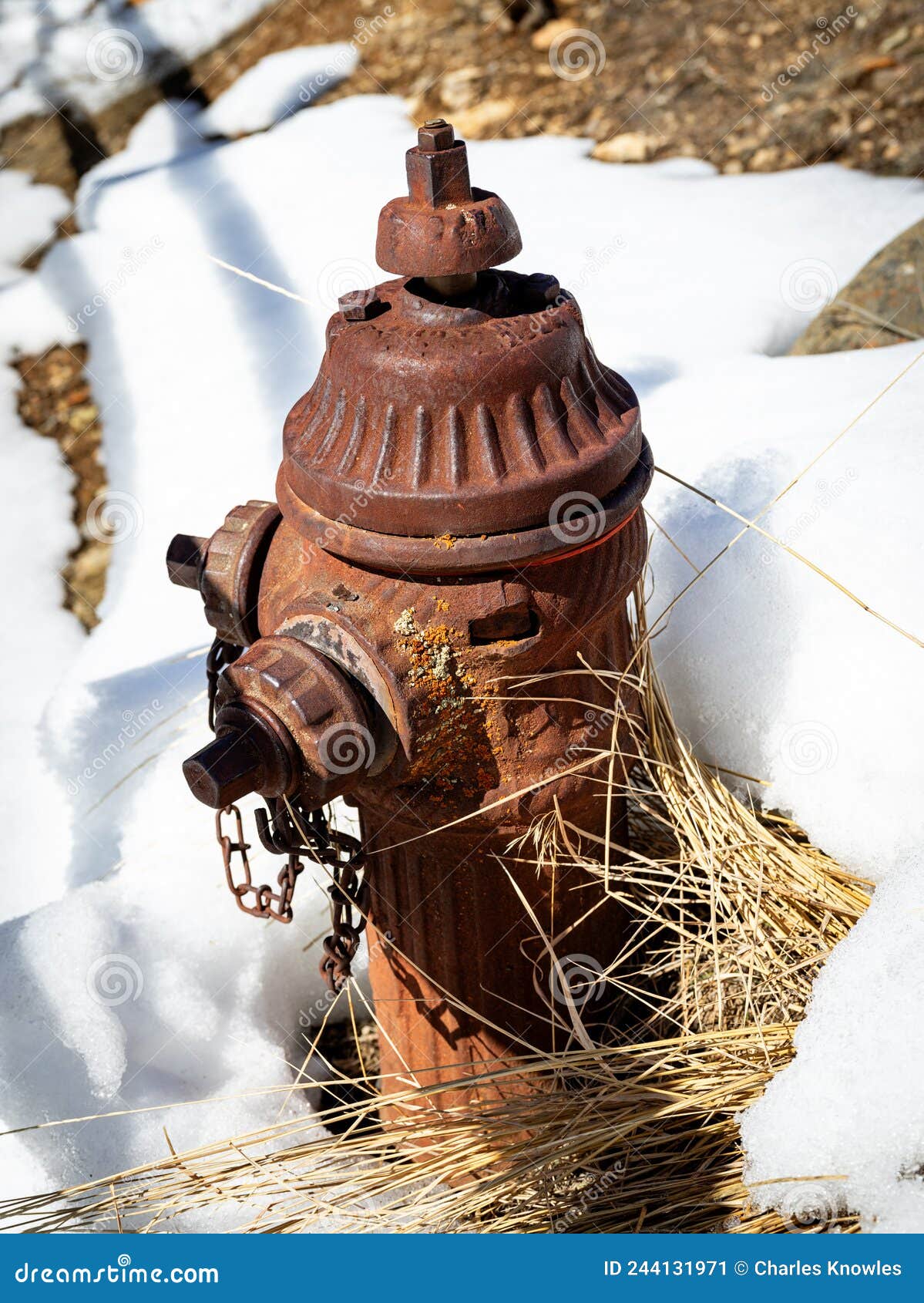 Rusted Antique Fire Hydrant in Winter with Snow and Grasses Stock Image ...