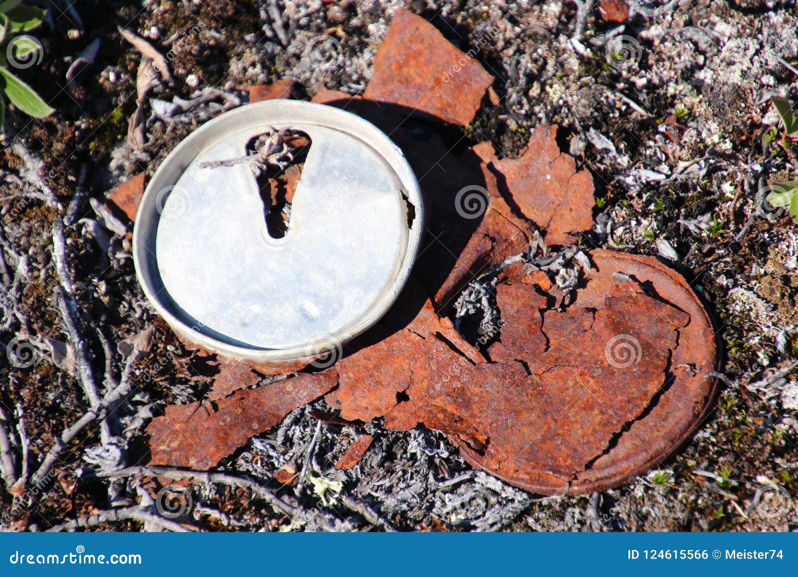 Rusted beverage can stock photo. Image of chemistry - 124615566