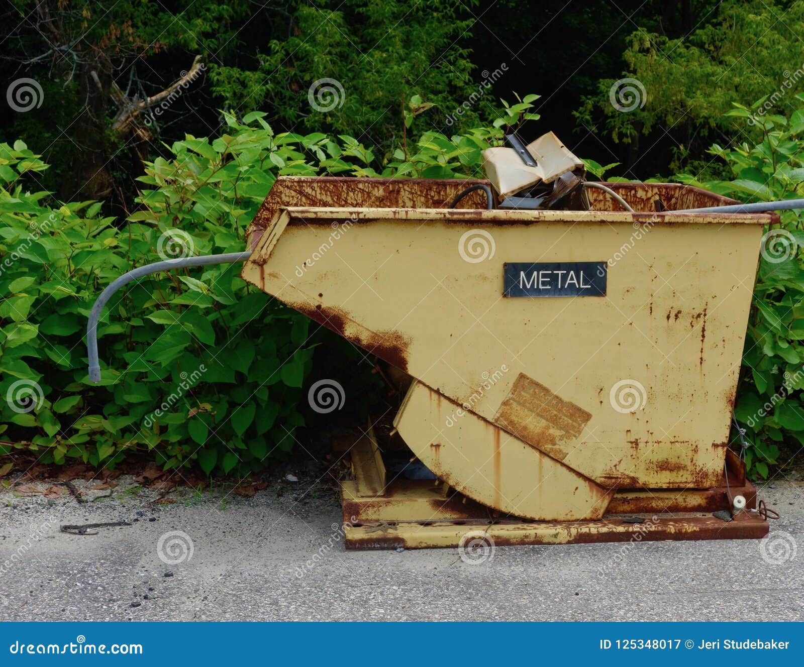 Rusted Bright Yellow Metal Container Bin on Grey Pavement with Greenery ...
