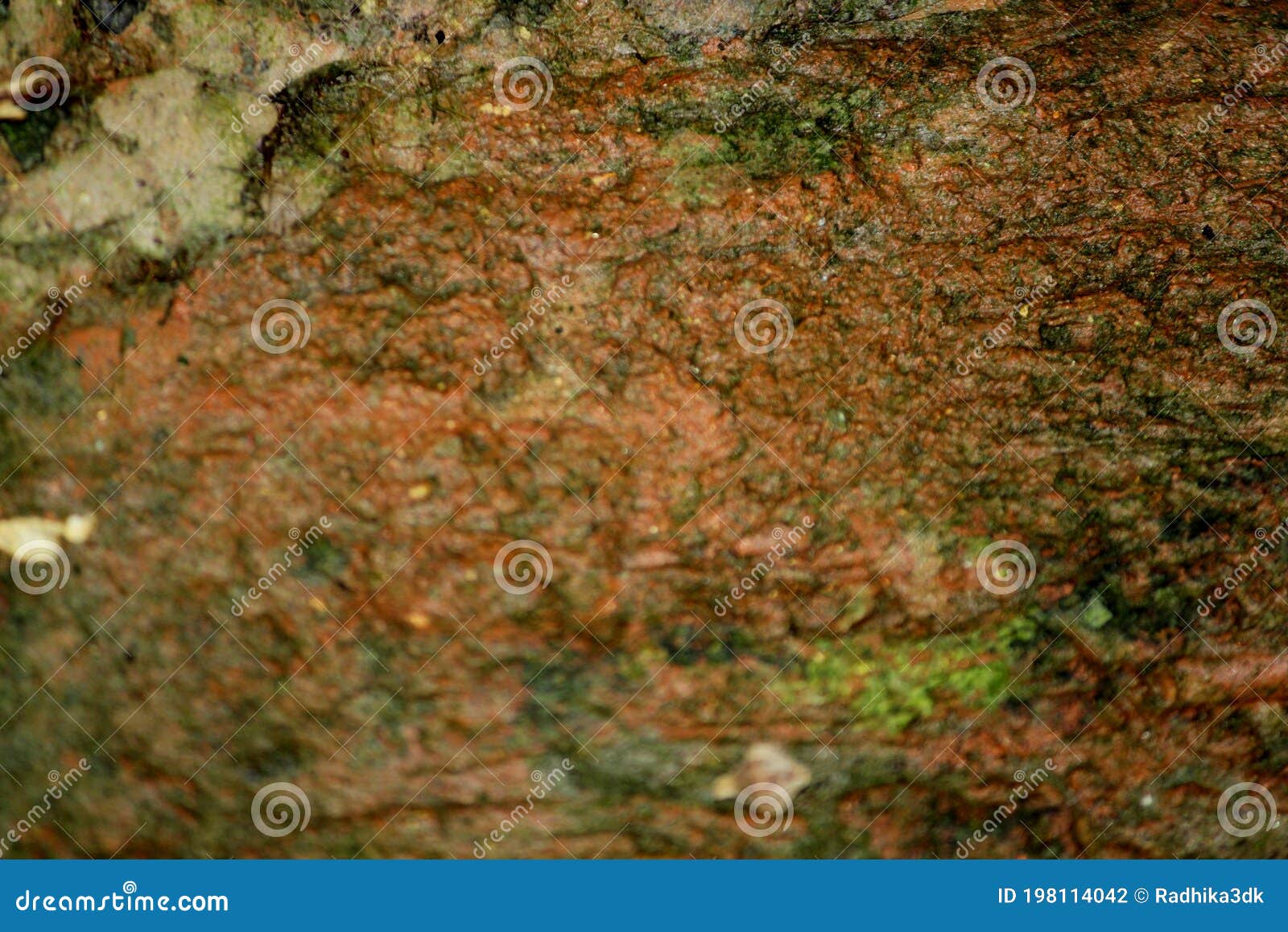 Rusted Cement Concrete Surface Background Stock Photo - Image of rough ...