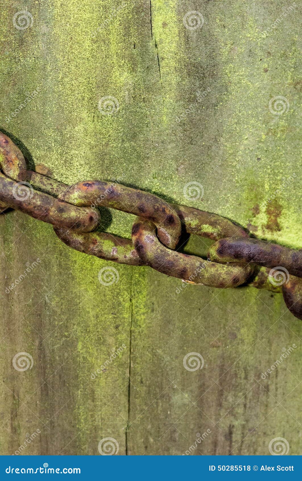 Rusted Chain on an Old Gate Post Stock Photo - Image of branch, post ...