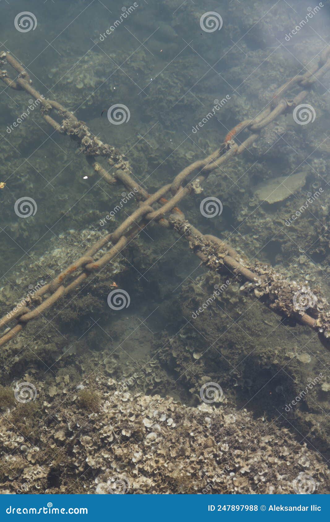 Rusted Chains Underneath the Sea Water at Harbour Stock Photo - Image ...