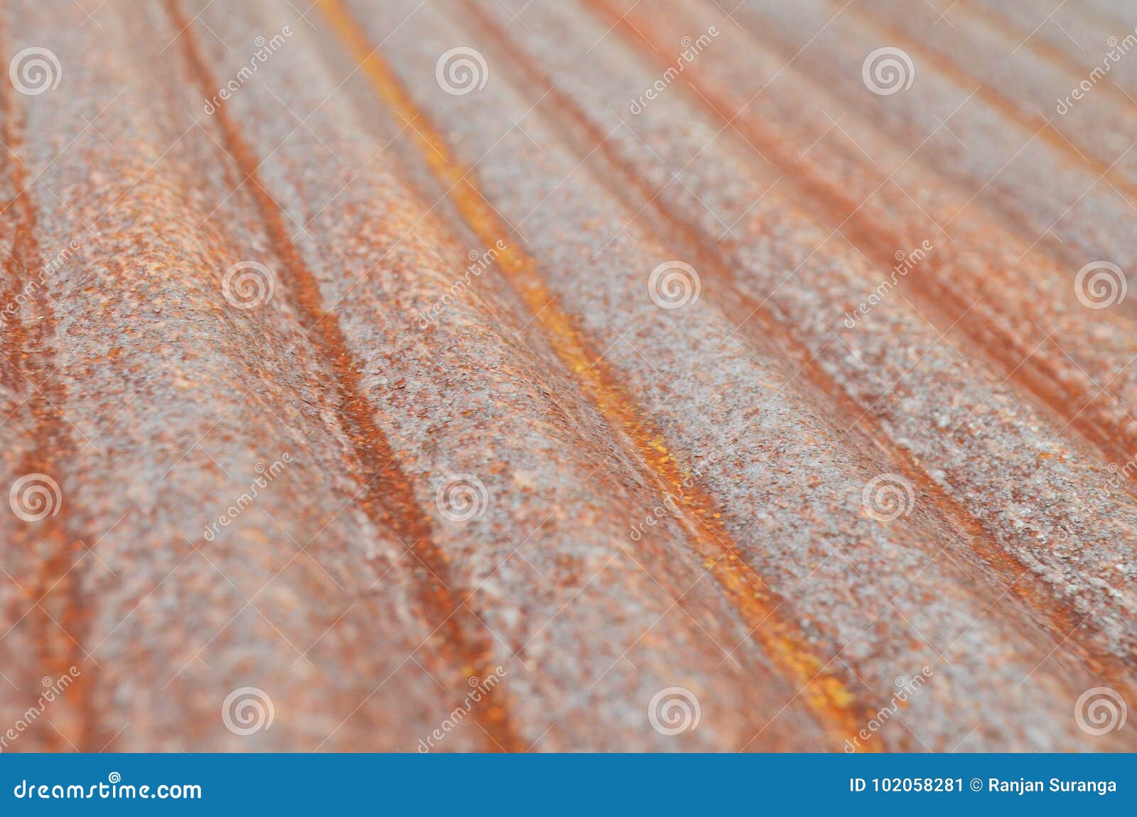 Rusted Corrugated Galvanized Iron Plate on Natural Light Stock Image ...