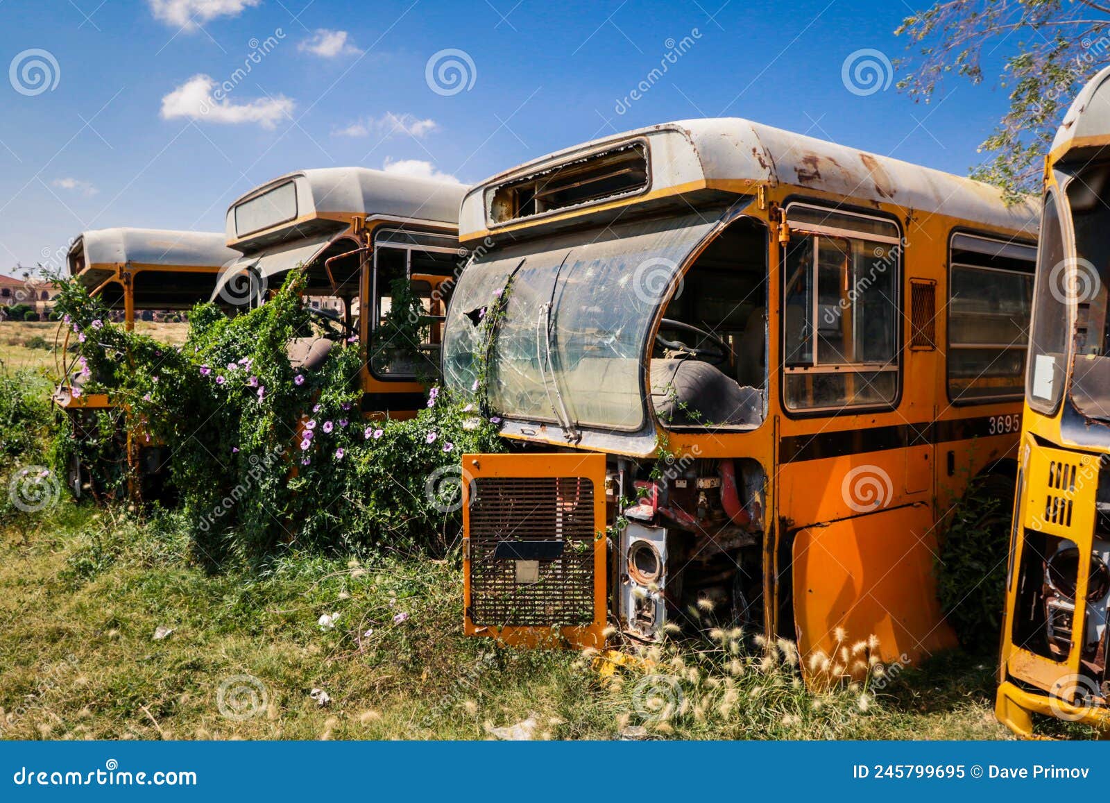 Rusted and Crushed Buses on the Tank Graveyard in Asmara Stock Image ...