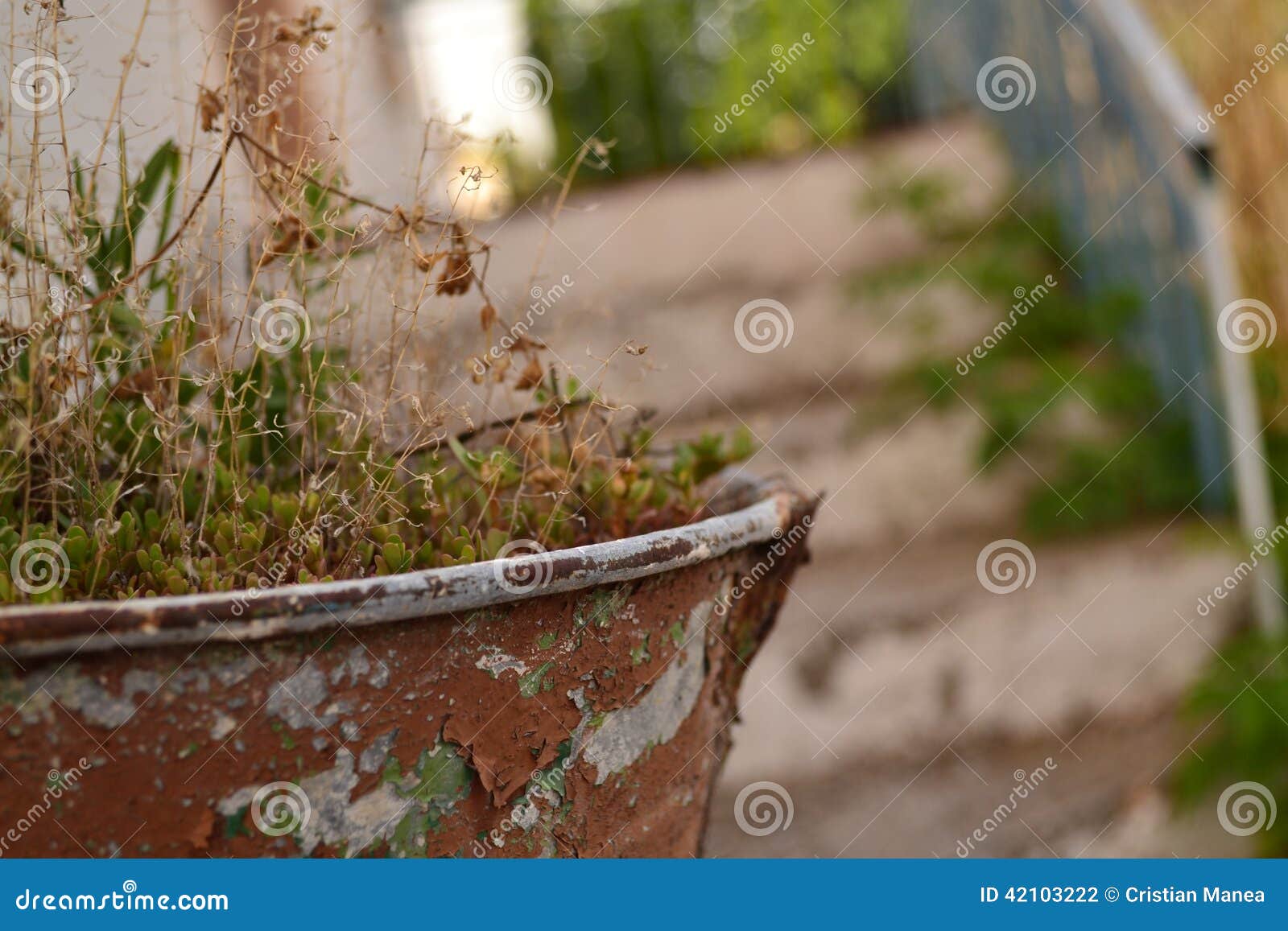 Rusted Flower Pot - Close-up Stock Photo - Image of historic, flower ...