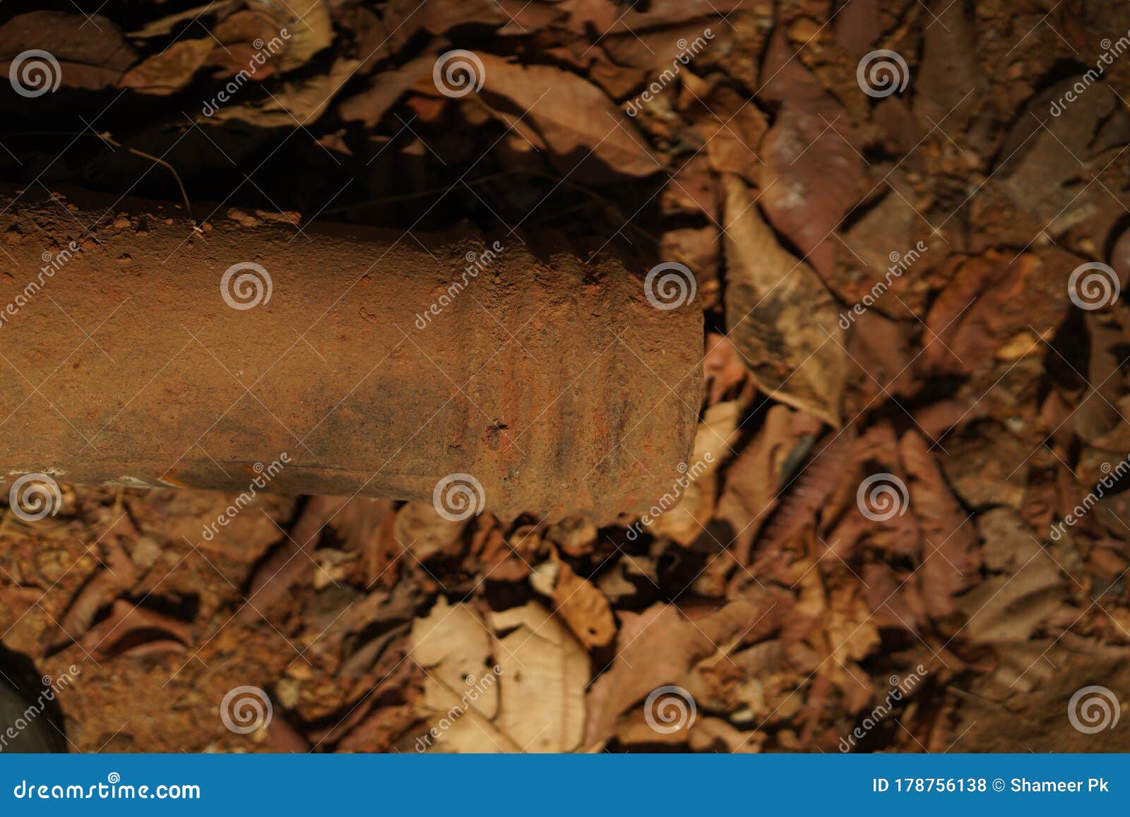 Rusted iron pipe stock photo. Image of plant, iron, flower - 178756138