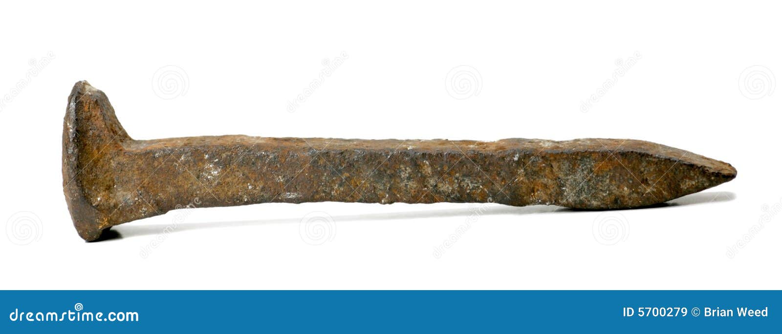 Rusted Iron Nail