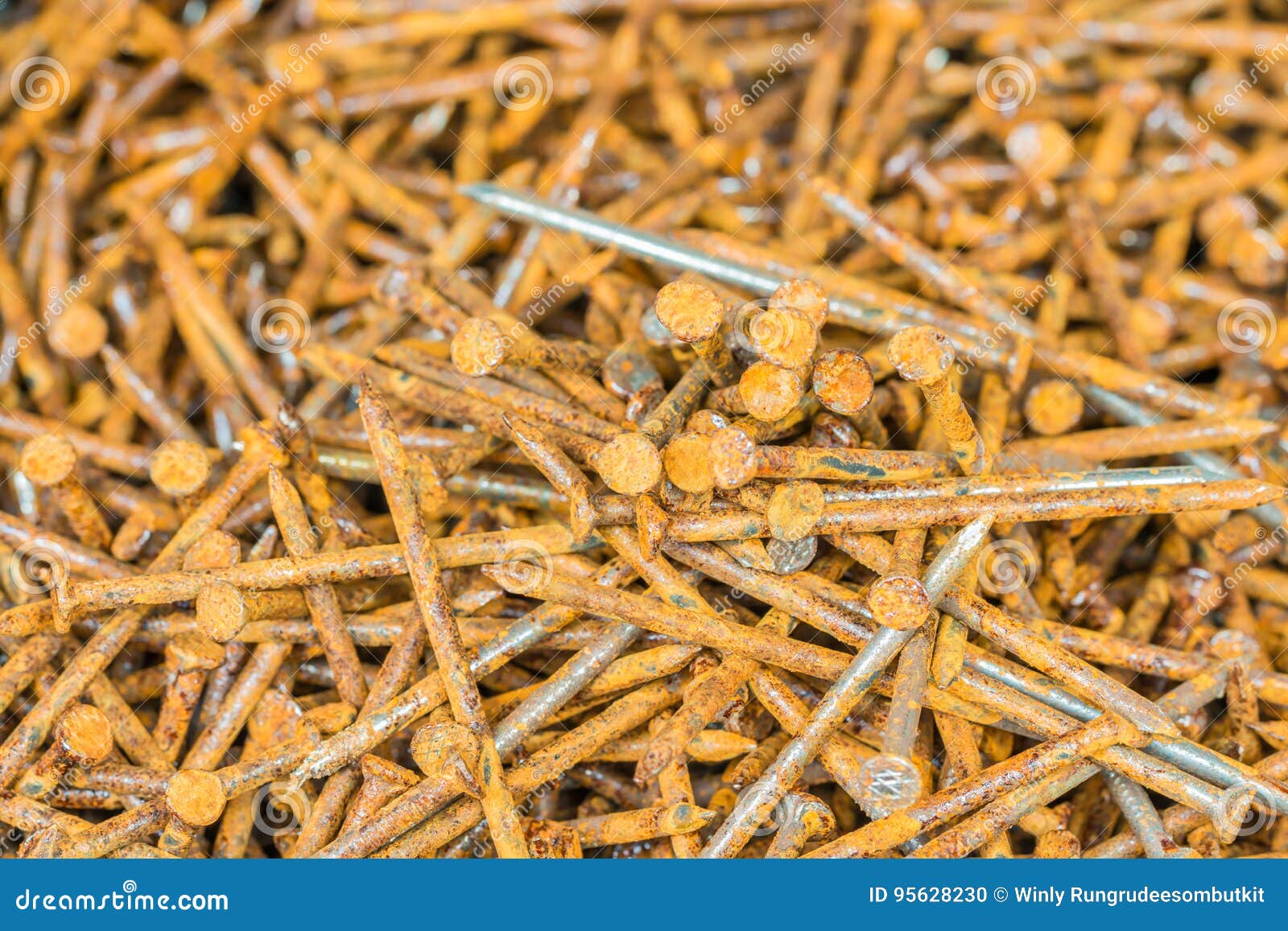 Rusted nail or tack. stock photo. Image of iron, texture - 95628230