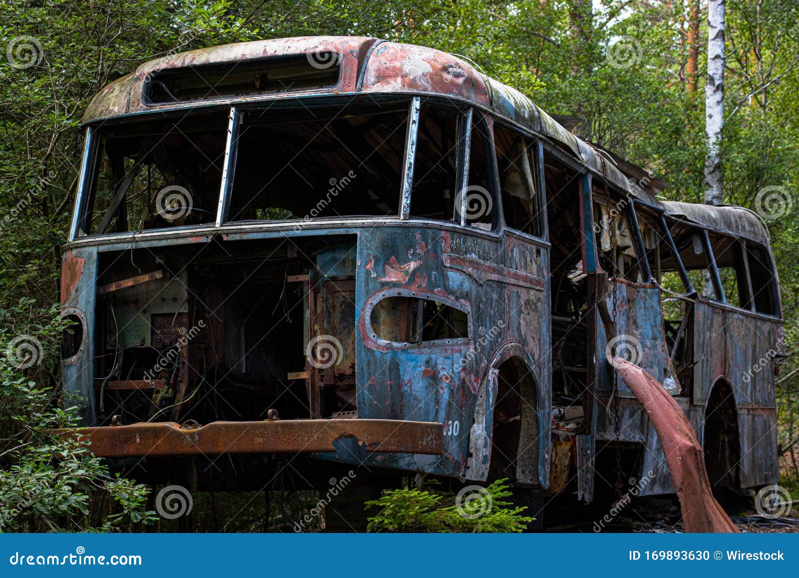 Rusted and Old Bus Abandoned in the Middle of the Forest Stock Photo ...