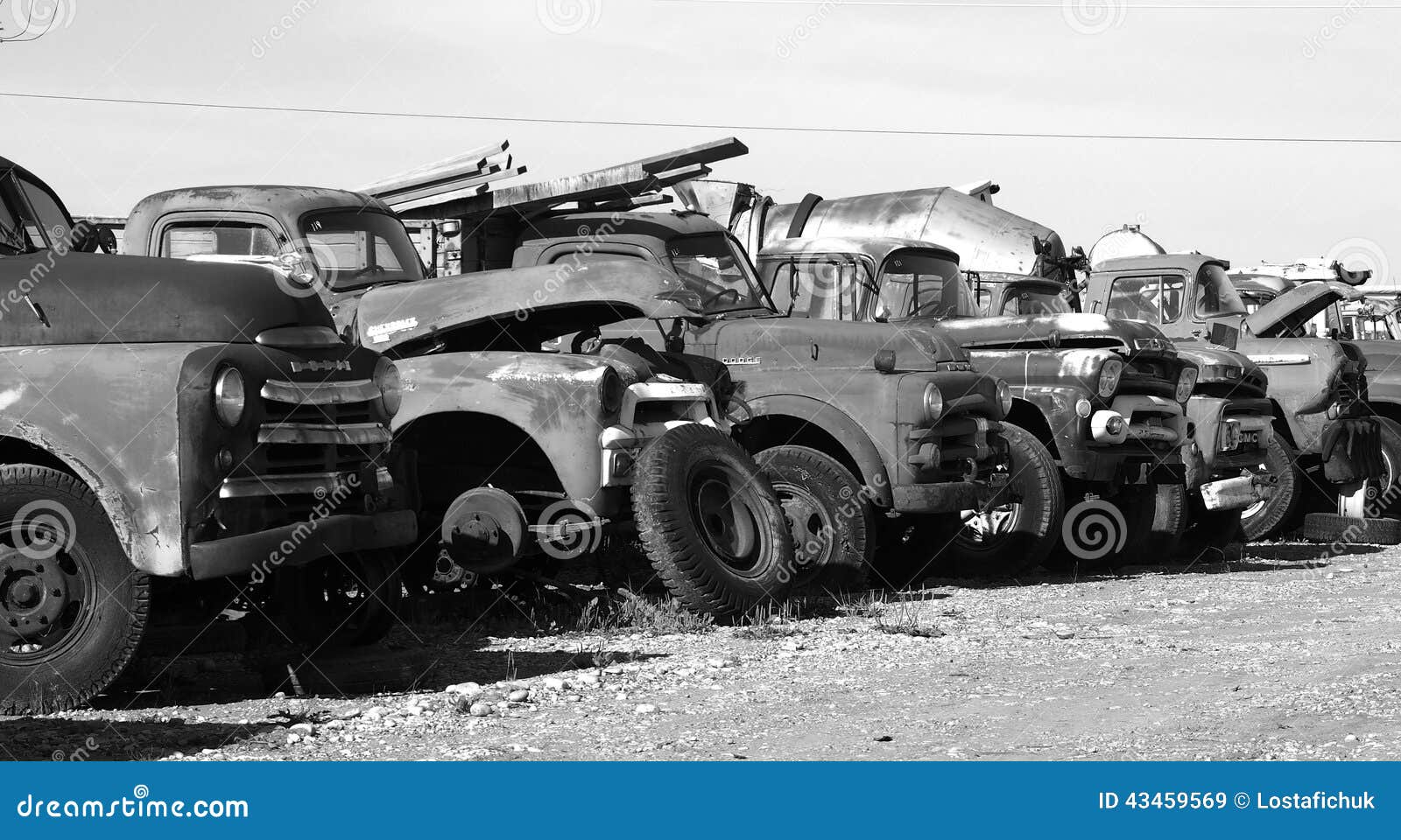 Rusted Out Antique Cars editorial stock image. Image of travel - 43459569