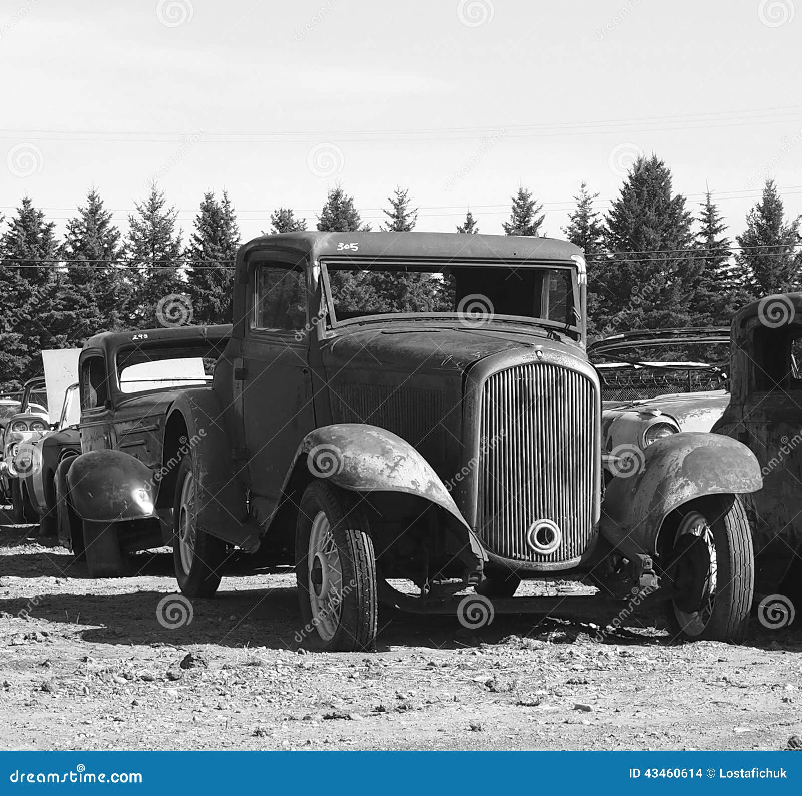 Rusted Out Antique Cars editorial stock image. Image of derelict - 43460614