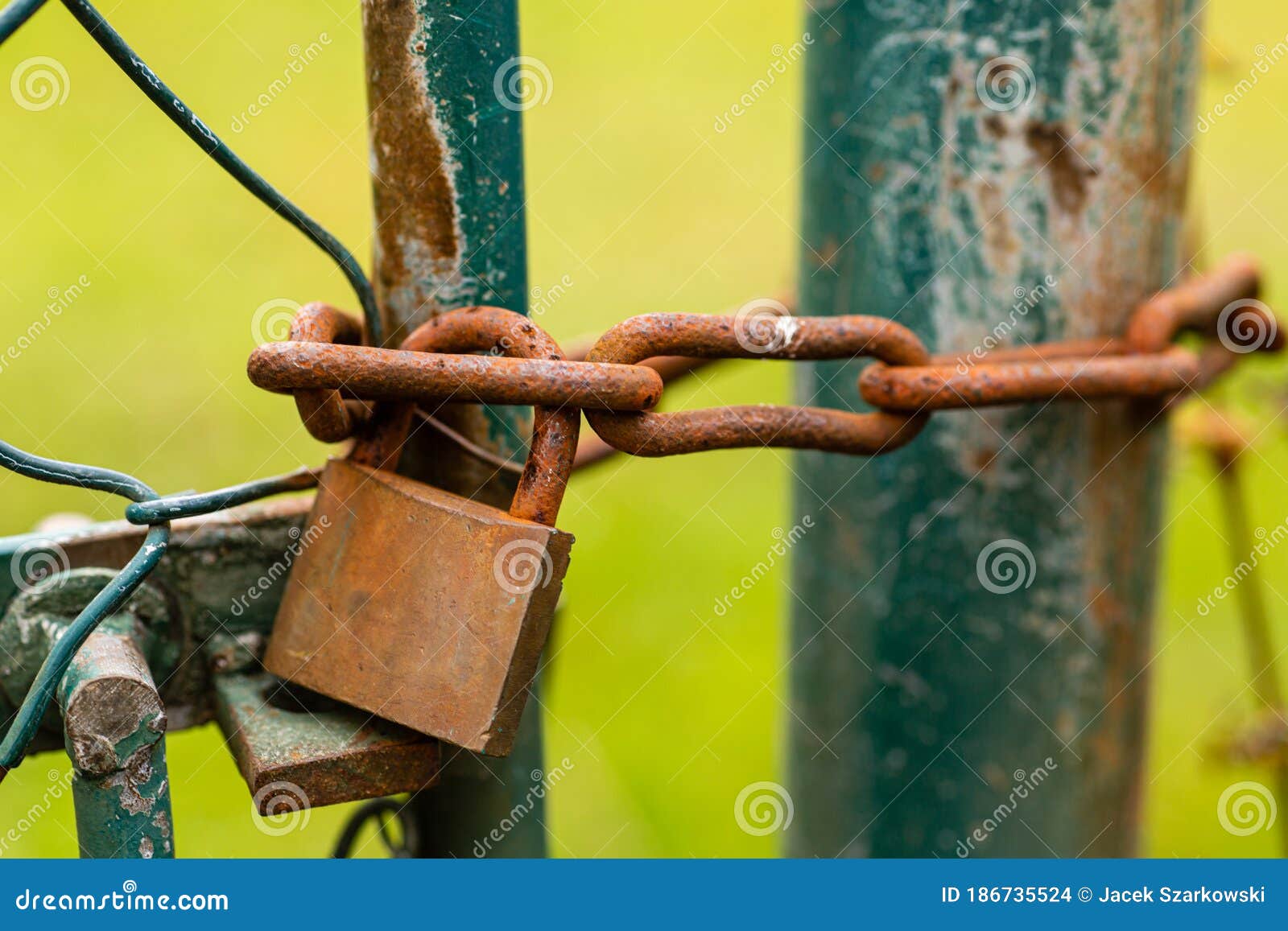 Rusted Padlock and Chain. Closed Gate To the Garden. Metal ... Rusted Padlock and Chain. Closed Gate To the Garden. Metal ...