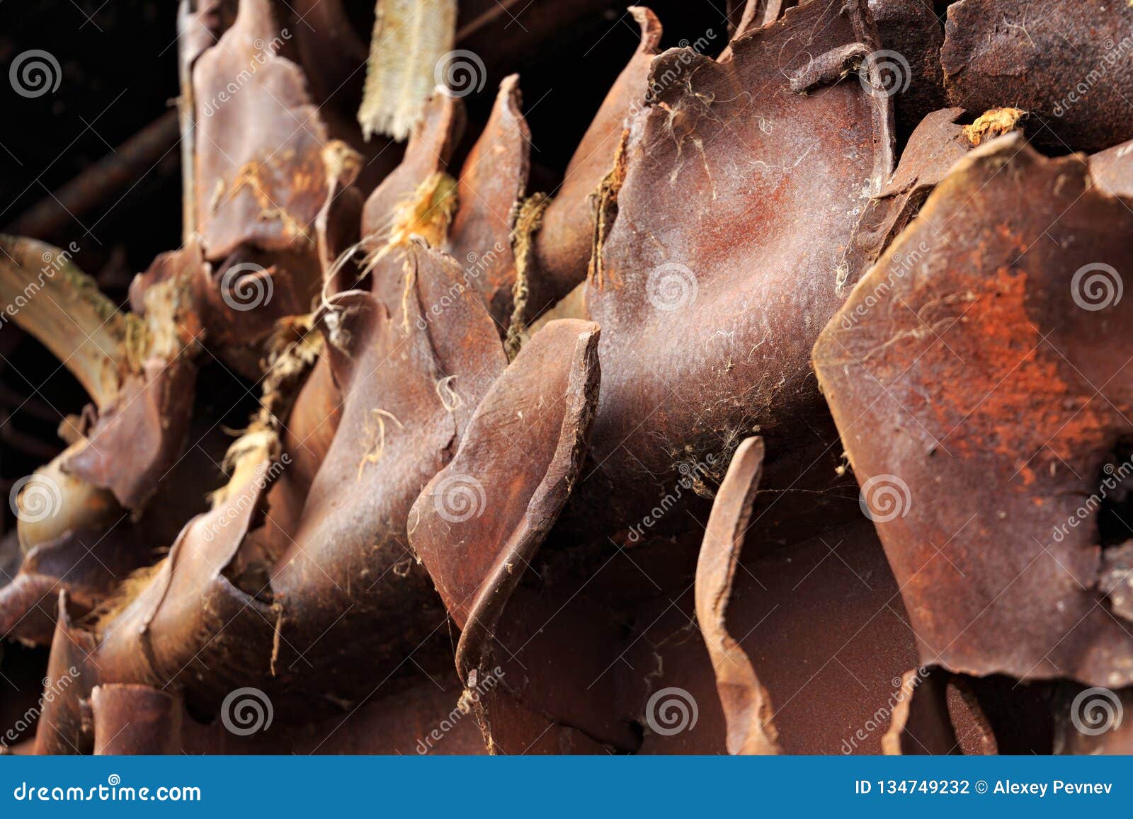 Rusted pieces of metal. stock photo. Image of catastrophe - 134749232