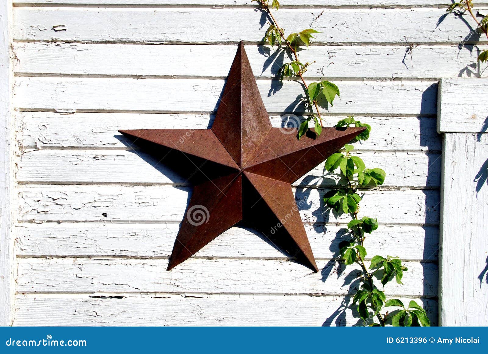 Rusted star and green vine stock photo. Image of boards - 6213396