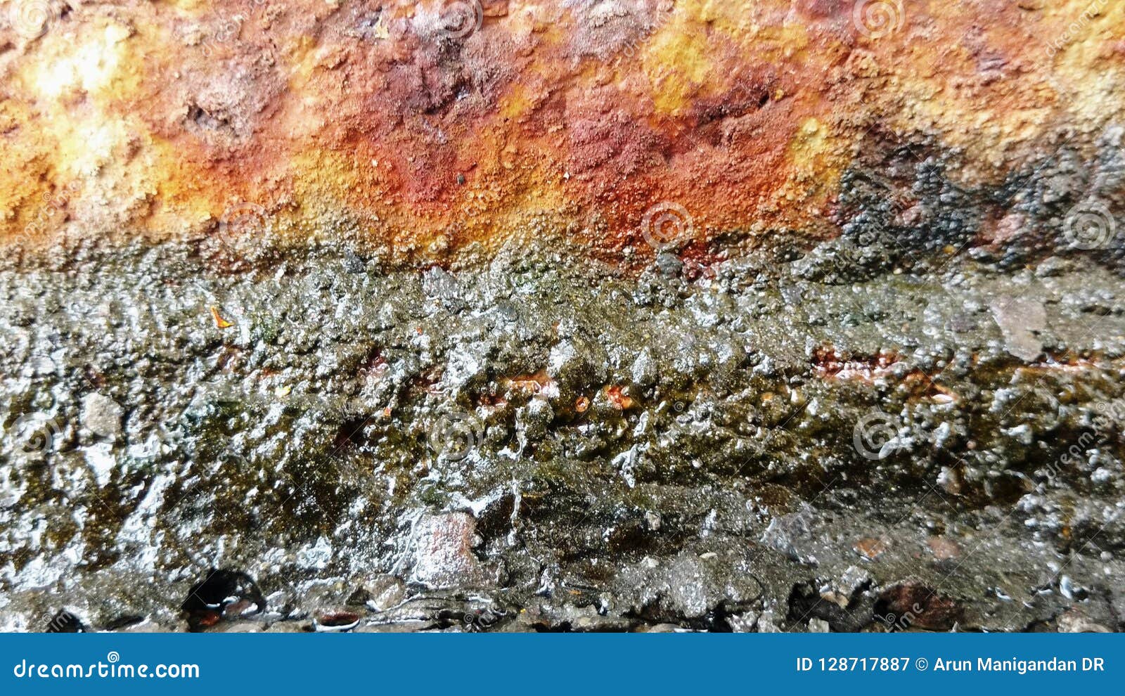 Rusted Texture with Green Algae Stock Image - Image of water, steel ...