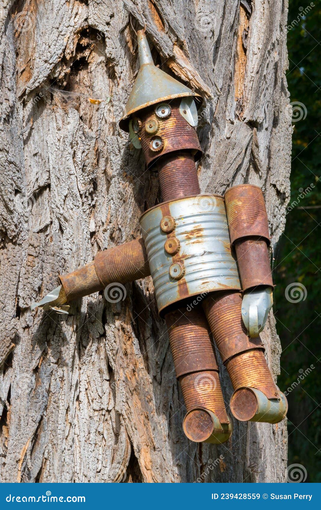 Rusted Tin Man on a Tree, Cans, Old Stock Image - Image of nature ...