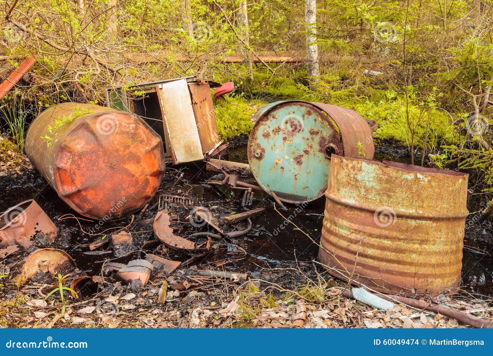 Rusted Waste Barrels in a Forest Stock Photo - Image of container ...