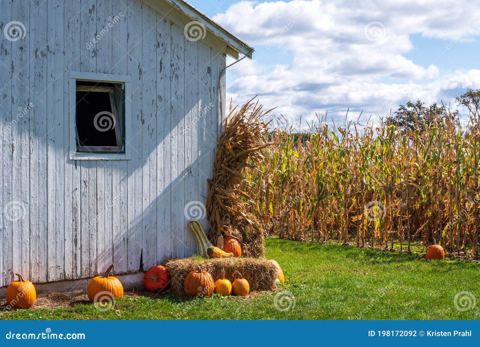 Rustic Autumn Landscape with White Barn and Pumpkins Stock Photo ...