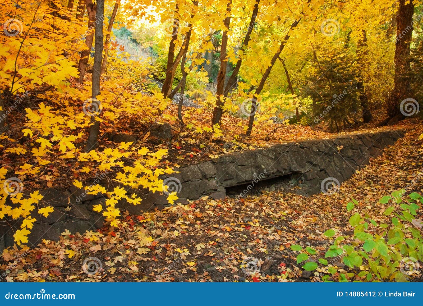 Rustic Autumn Scene stock photo. Image of canyon, wall - 14885412