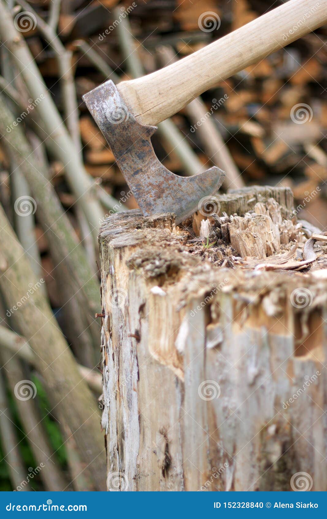 Rustic Axe Stuck in Wooden Stump Stock Photo - Image of fire, carpenter ...