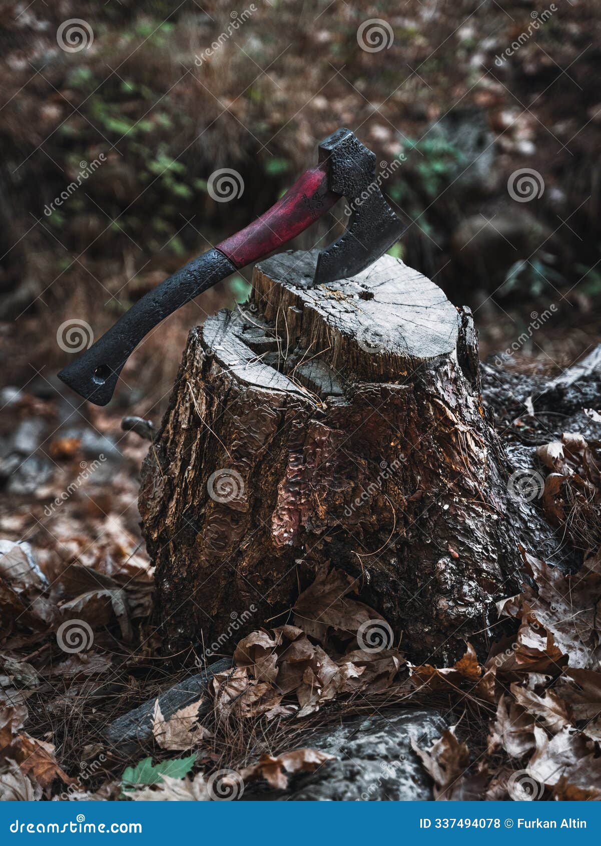 Rustic Axe in Tree Stump stock photo. Image of quality - 337494078