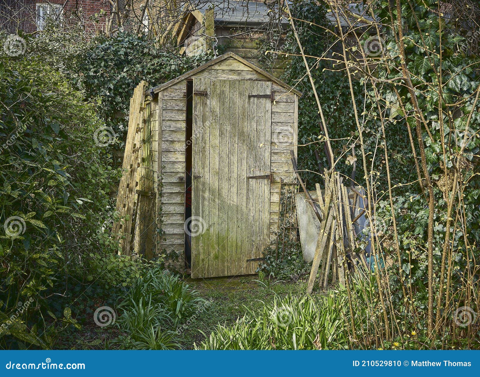 An Old Collapsing Garden Shed in Trees Stock Photo - Image of shrubs ...