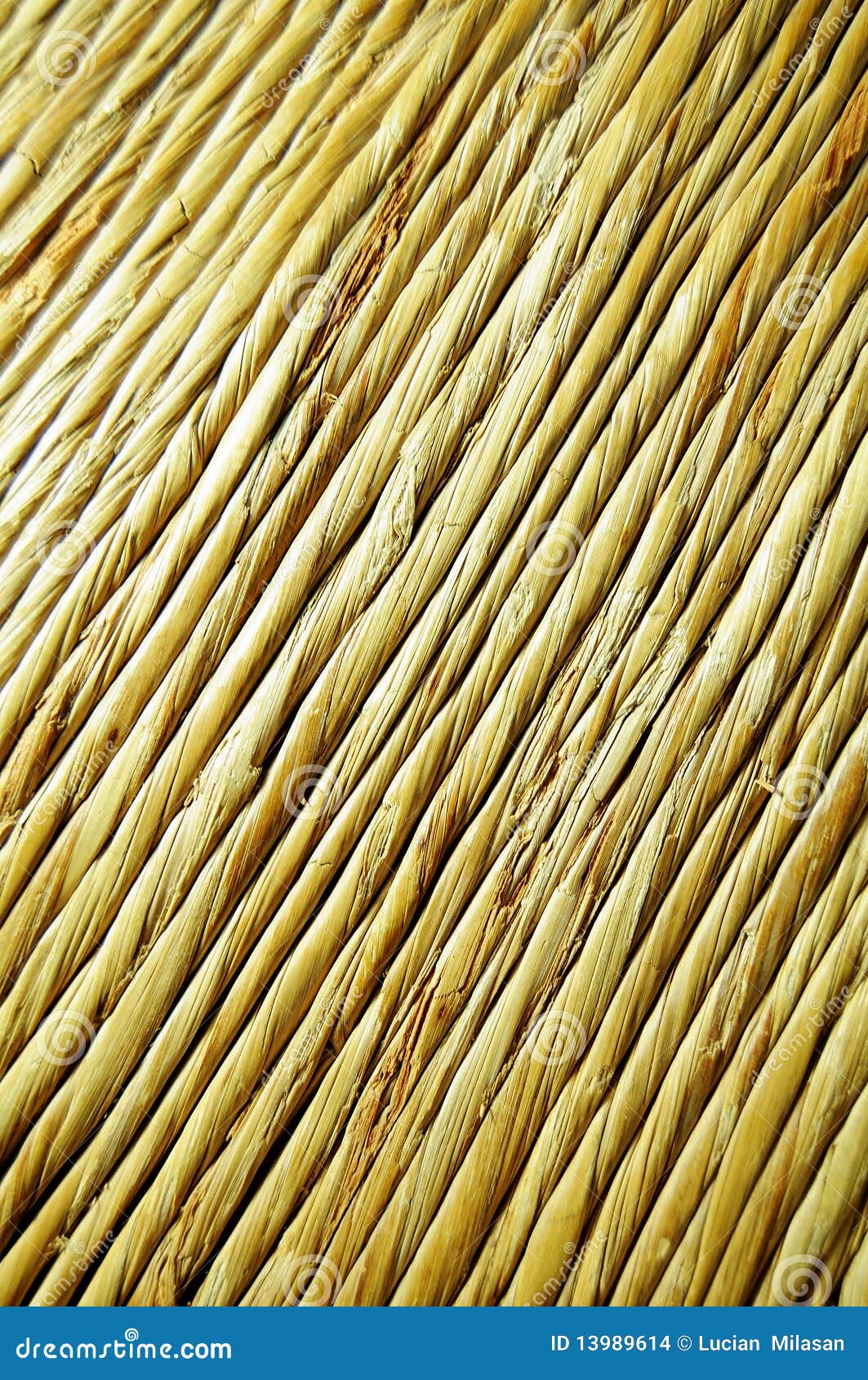 The Use Of Straw Wattles Straw Worms, Bio-logs, Straw Noodles. Land ...