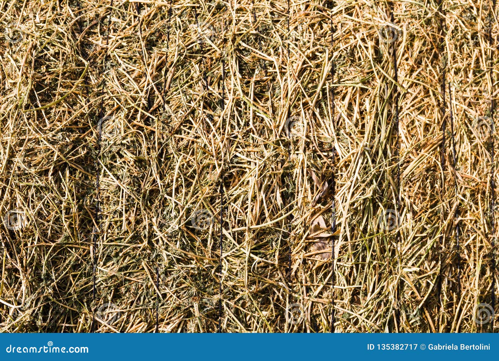 Hay Bale Texture, Dry Textured Straw Background, Golden Haystack In The ...