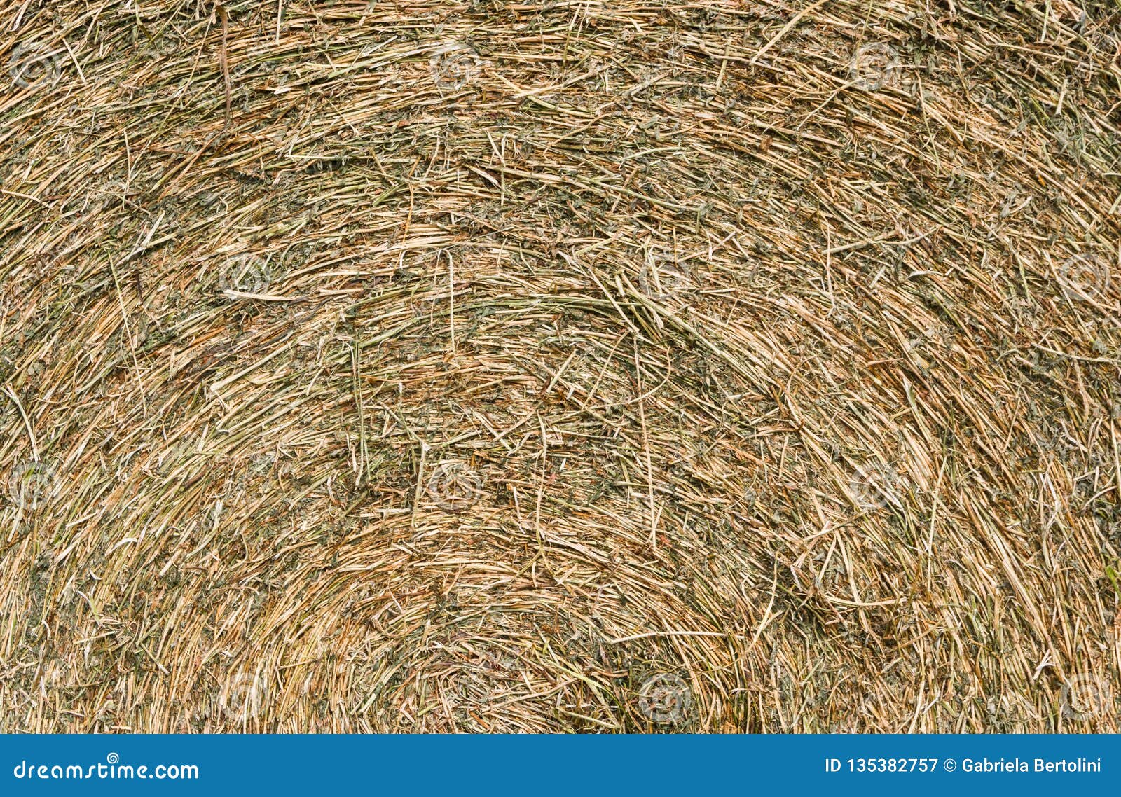 Hay Bale Texture, Dry Textured Straw Background, Golden Haystack In The ...