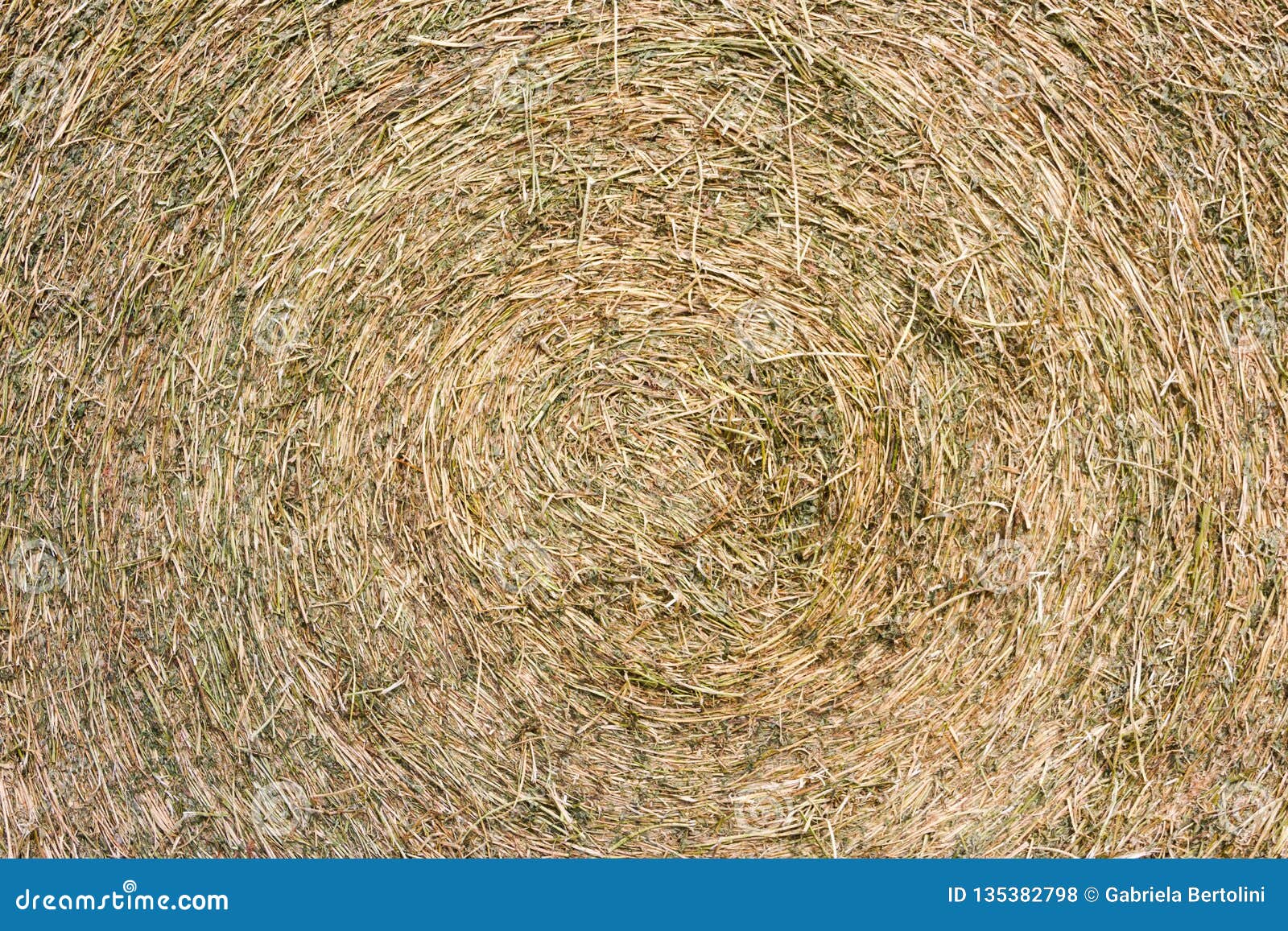 Hay Bale Texture, Dry Textured Straw Background, Golden Haystack In The ...