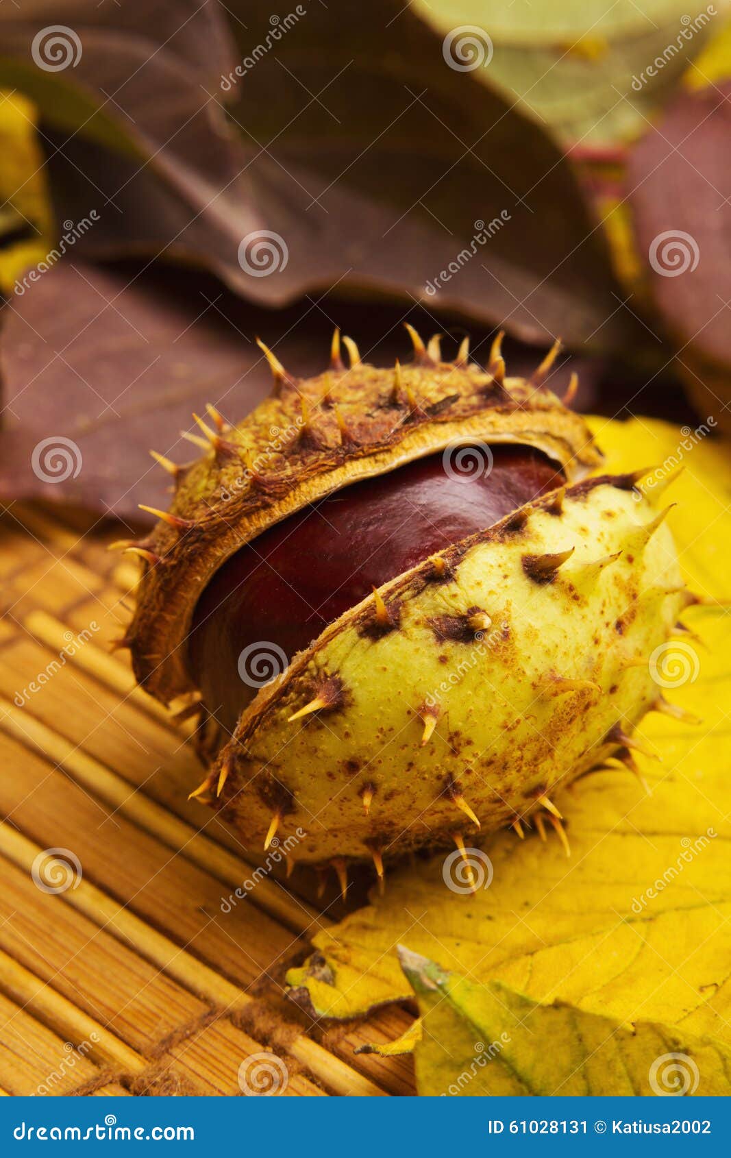 Rustic Background with Chestnut and Maple Leaves Stock Image - Image of ...