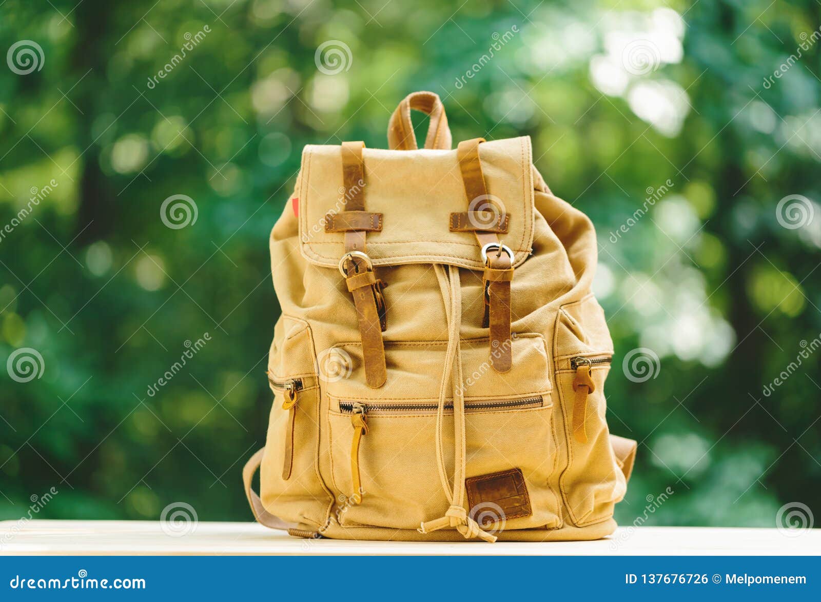 A rustic backpack stock photo. Image of nature, knapsack - 137676726