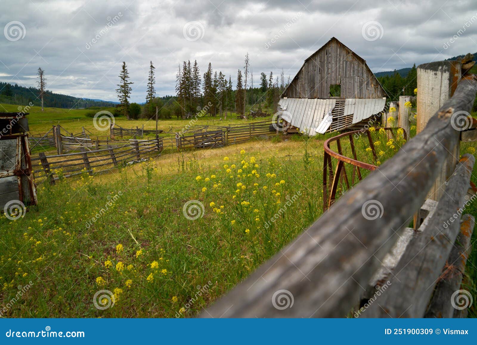 Weathered Barn and Corral stock image. Image of sunlight - 251900309