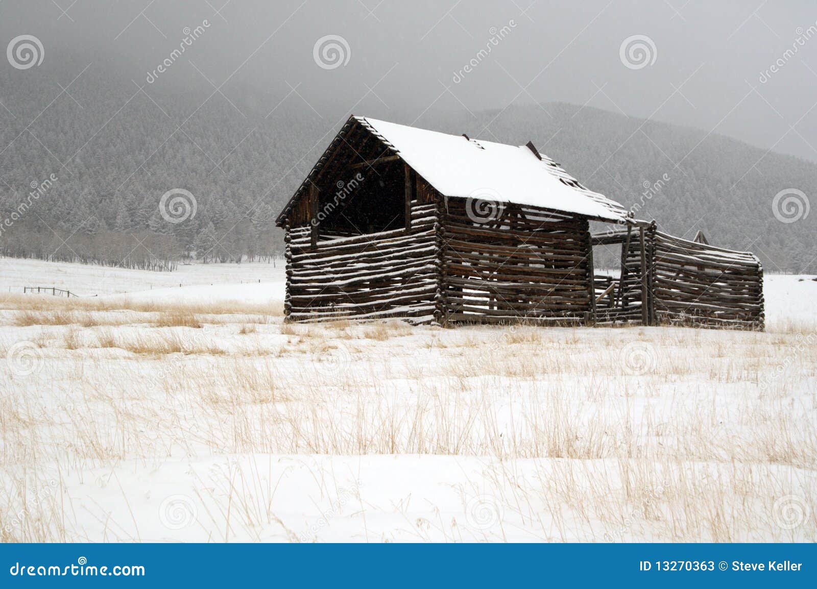 Rustic barn Evergreen stock image. Image of pasture, open - 13270363