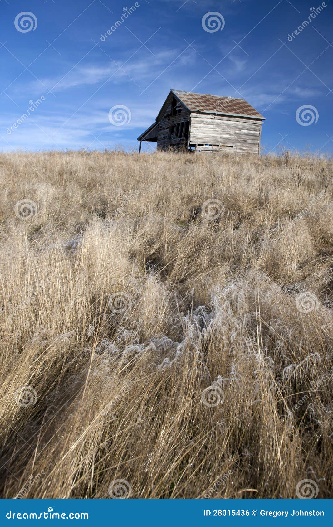 Rustic Barn and Flowing Grass. Stock Photo - Image of nature, structure ...