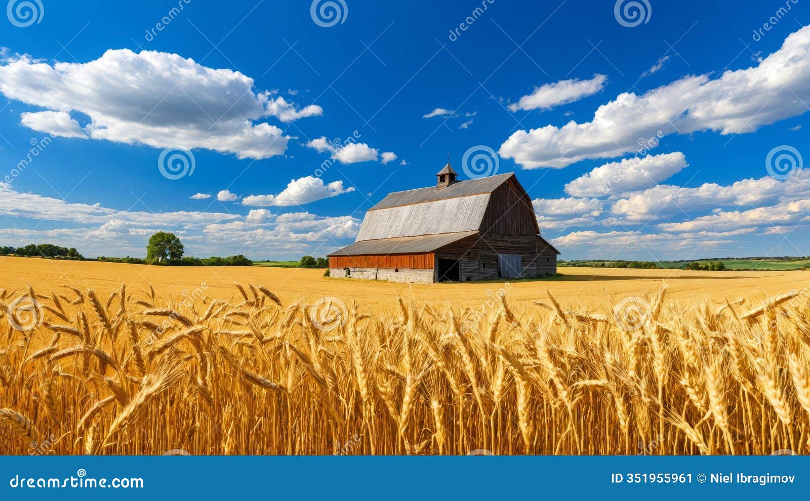 Rustic Barn in Golden Wheat Field Under Vibrant Blue Sky with Fluffy ...