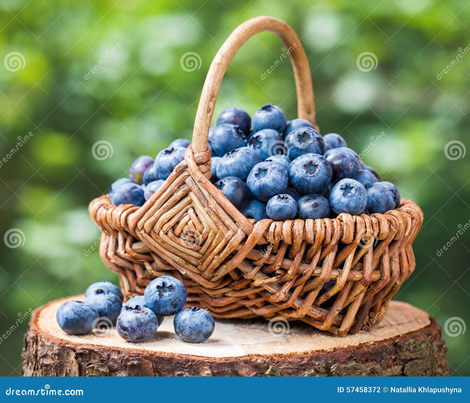 Rustic Basket with Ripe Blueberries Stock Photo - Image of healthy ...