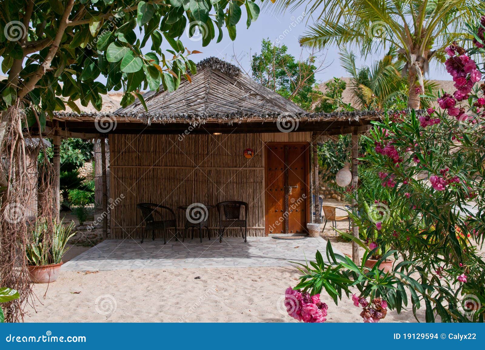 Rustic Beach Roof, View Inside Of Palm Umbrella Used For Outdoor ...