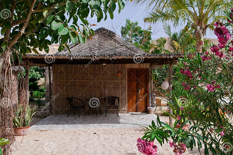Rustic Beach Hut stock photo. Image of porch, palm, accommodate - 19129594