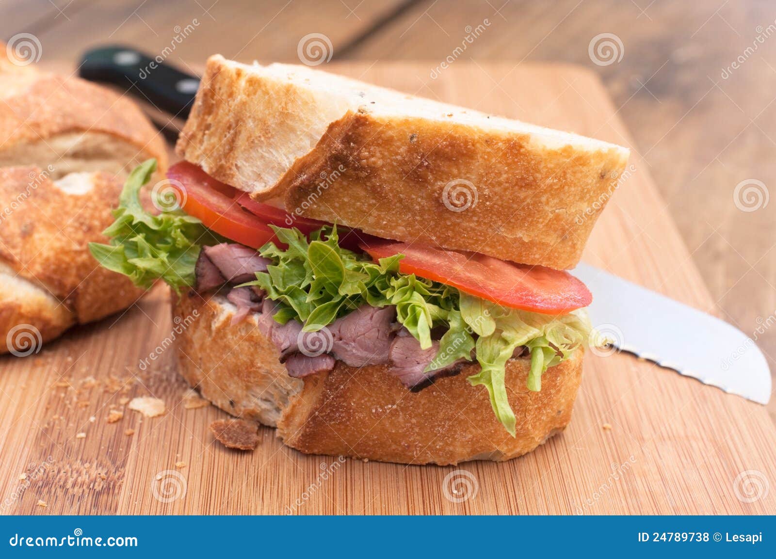 Rustic beef sandwich. stock photo. Image of balanced - 24789738