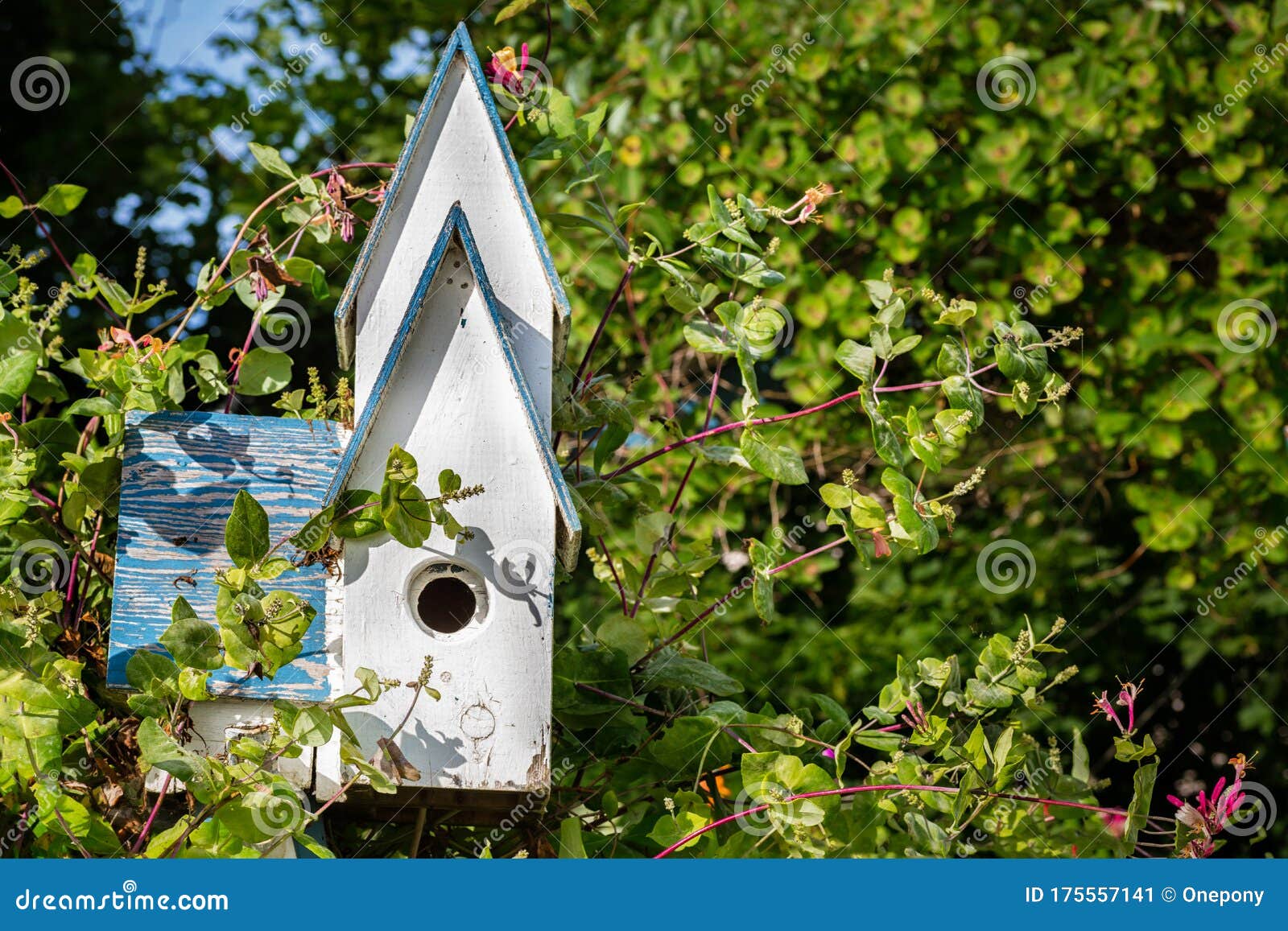 Rustic Wooden White Birdhouse Stock Image - Image of green, plants ...