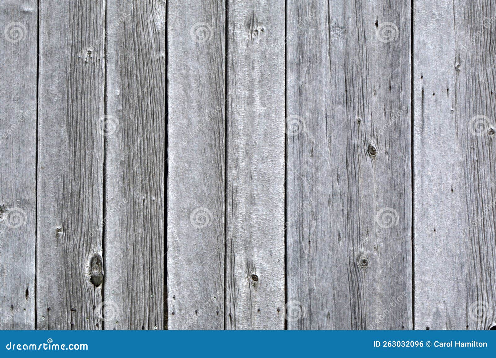 Rustic Boards on Exterior of a Barn Stock Photo - Image of autumn ...