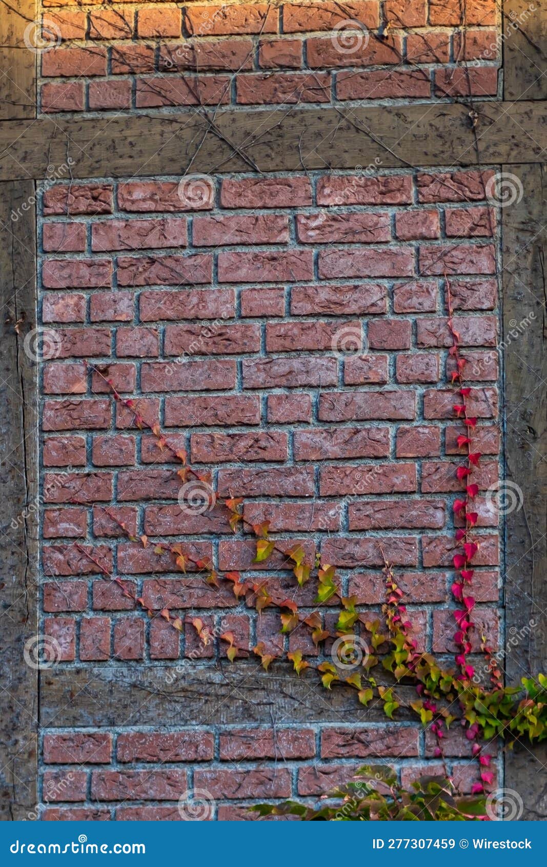 Rustic Brick Wall with a Hint of Greenery Growing Around the Edges ...