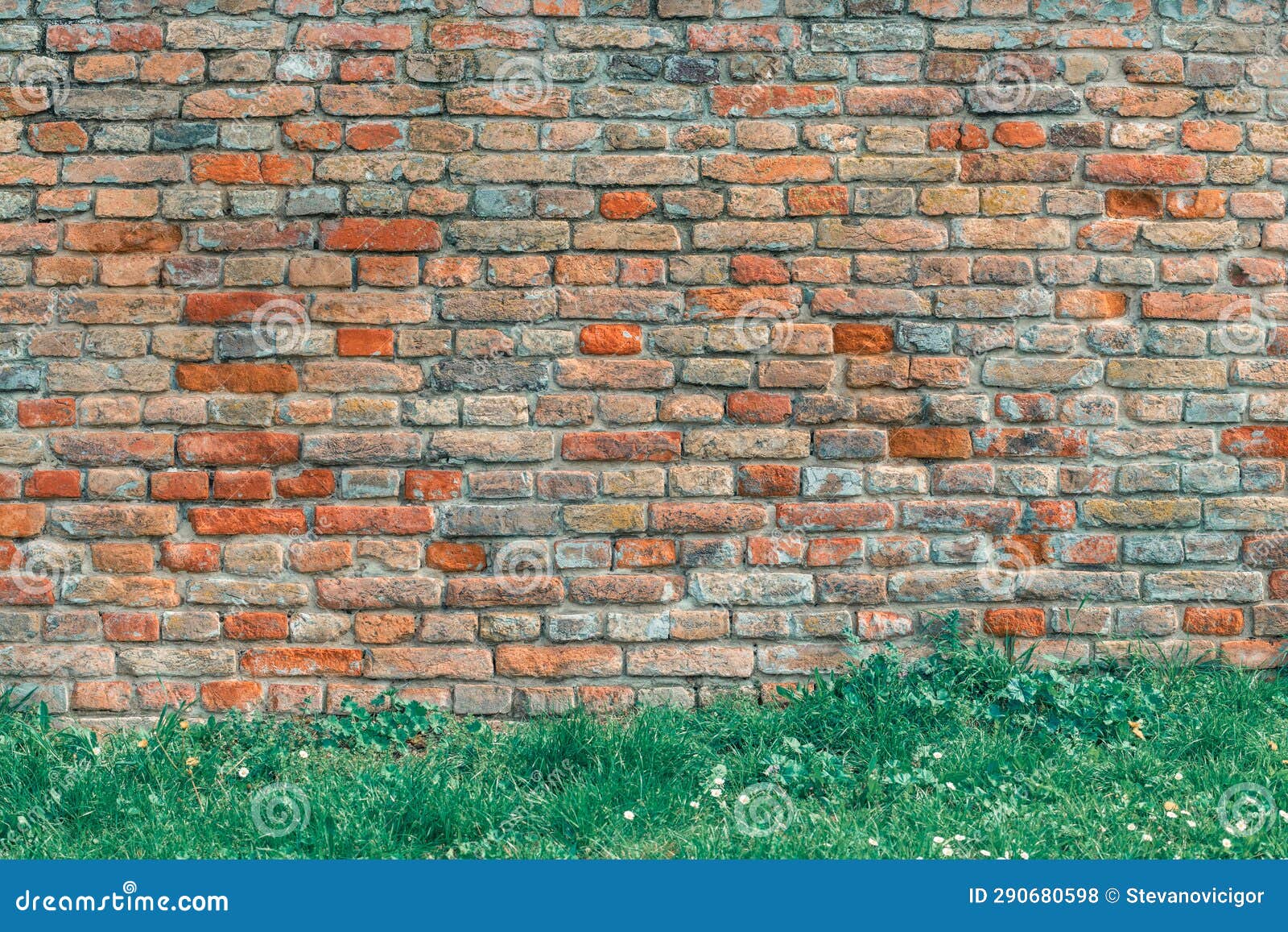 Rustic Brick Wall and Spring Grass As Background Stock Photo - Image of ...